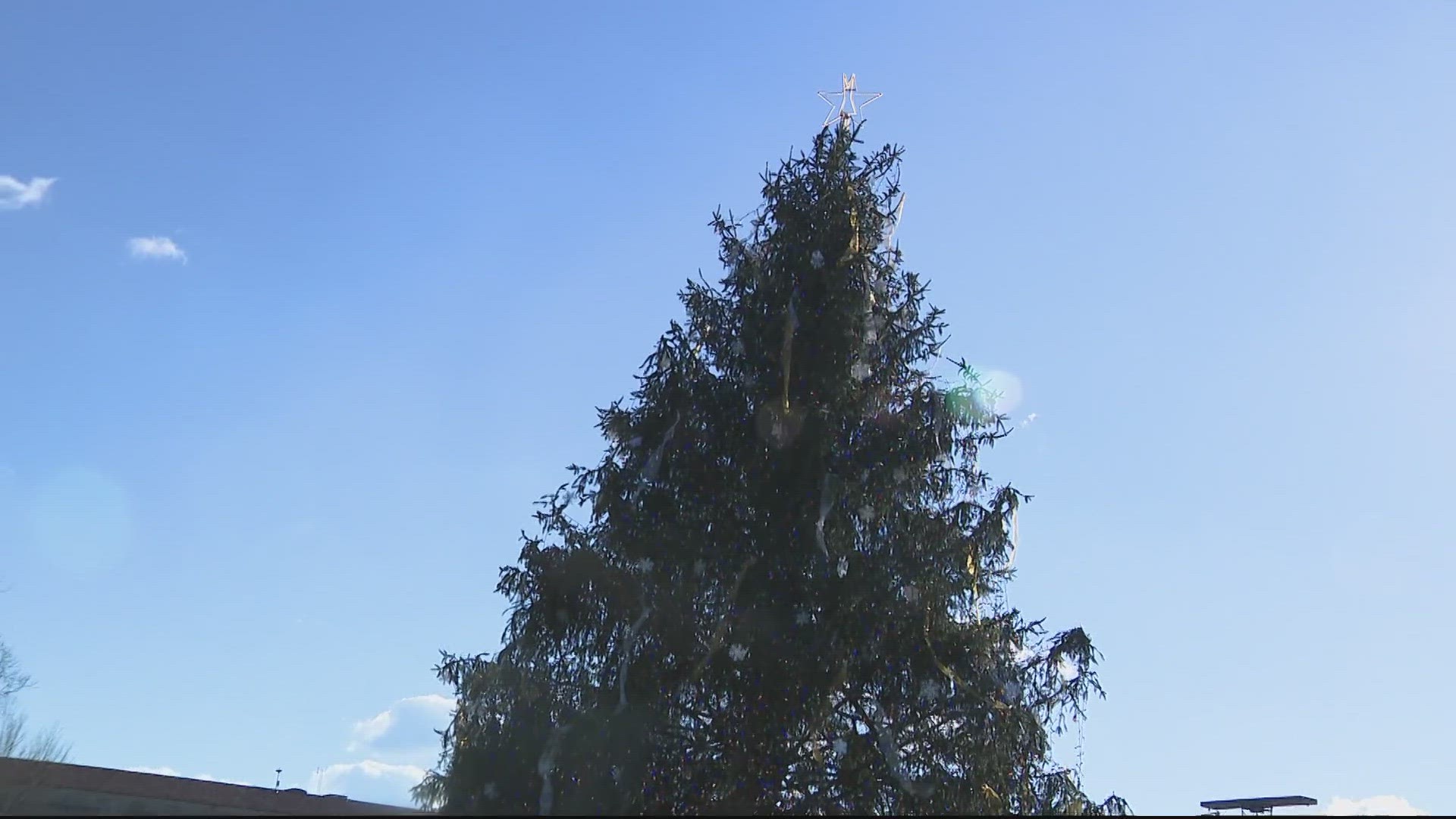National Christmas Tree falls over with strong gust of wind | wfaa.com